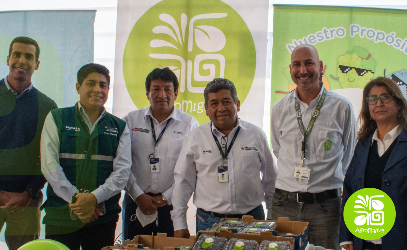 OPENING OF THE BLUEBERRY EXPORT CAMPAIGN ORGANIZED BY SENASA | Agricola ...