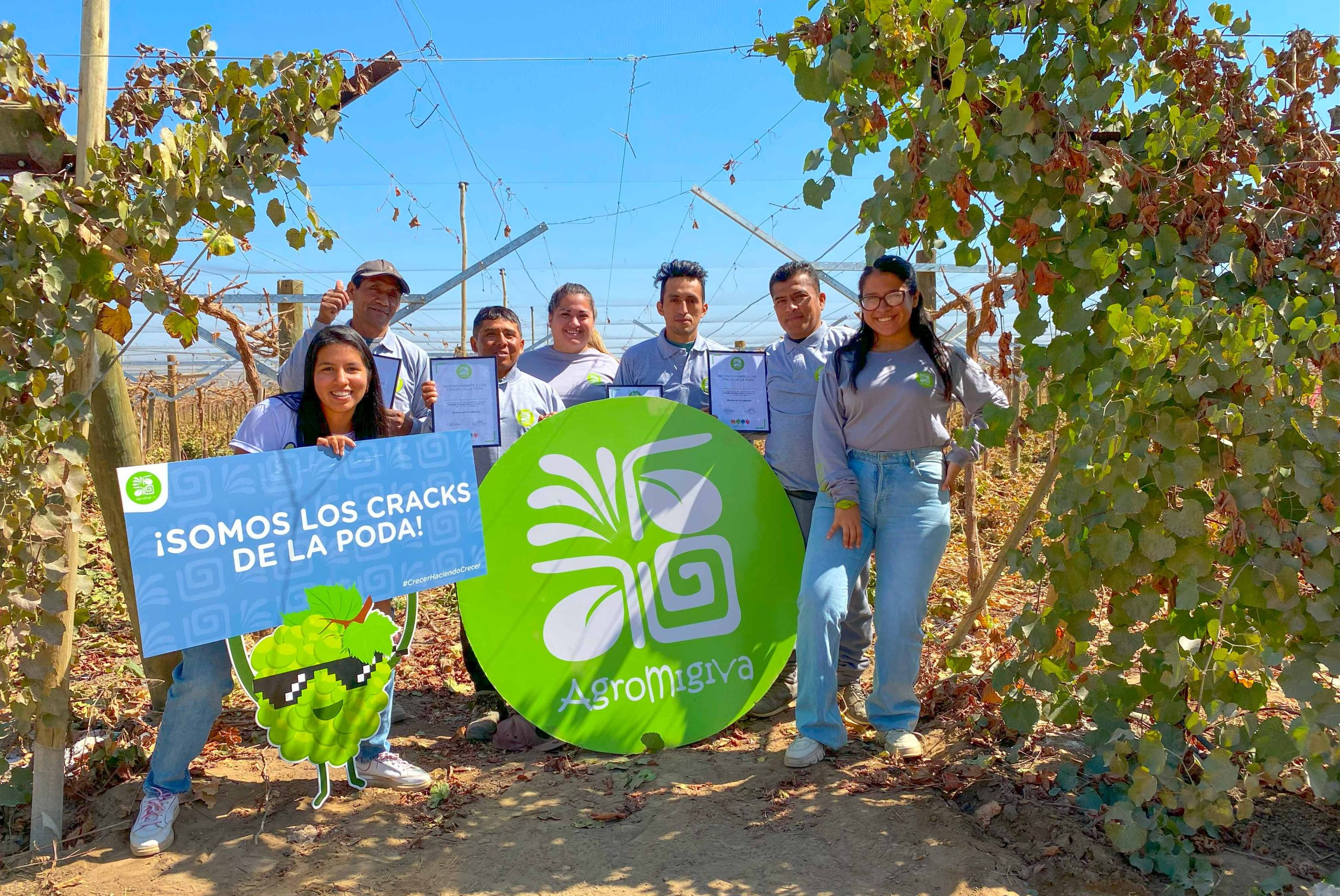 We recognize the best grape pruners | Agricola Andrea