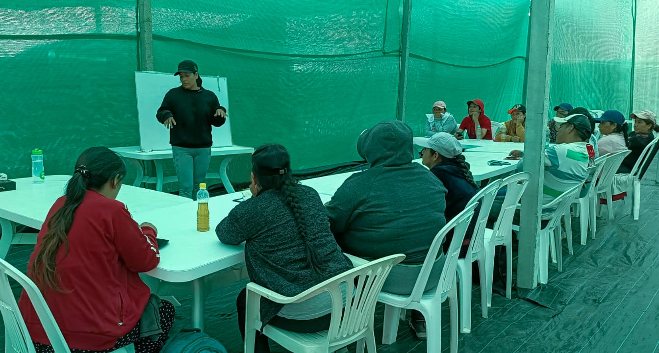 Strengthening Our Preparation for the Grape Campaign | Agricola Andrea